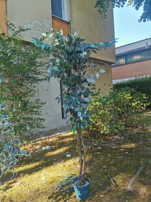 Umetna rastlina roža 2x 180cm 160cm liti v beton