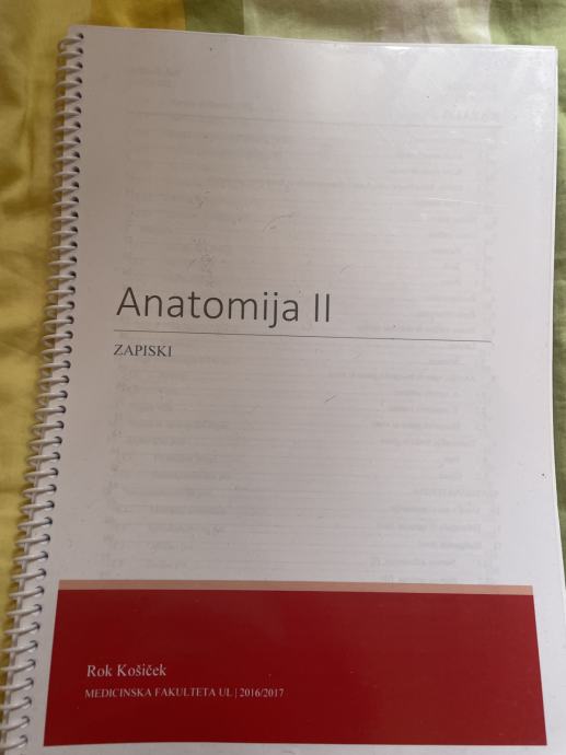Anatomija 2 skripta košiček