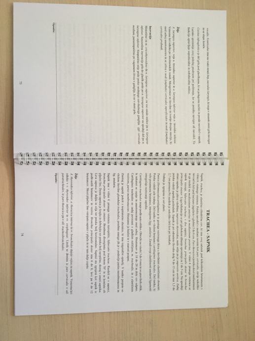 Anatomija 4, skripta