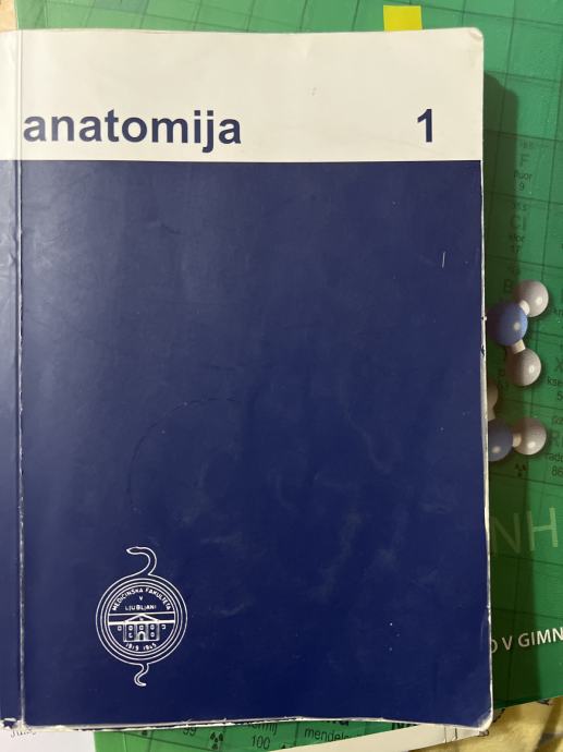 Anatomija modra skripta 1