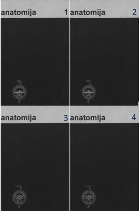 KUPIM Anatomija, skripta za medicinsko fakulteto 1, 2, 3, 4