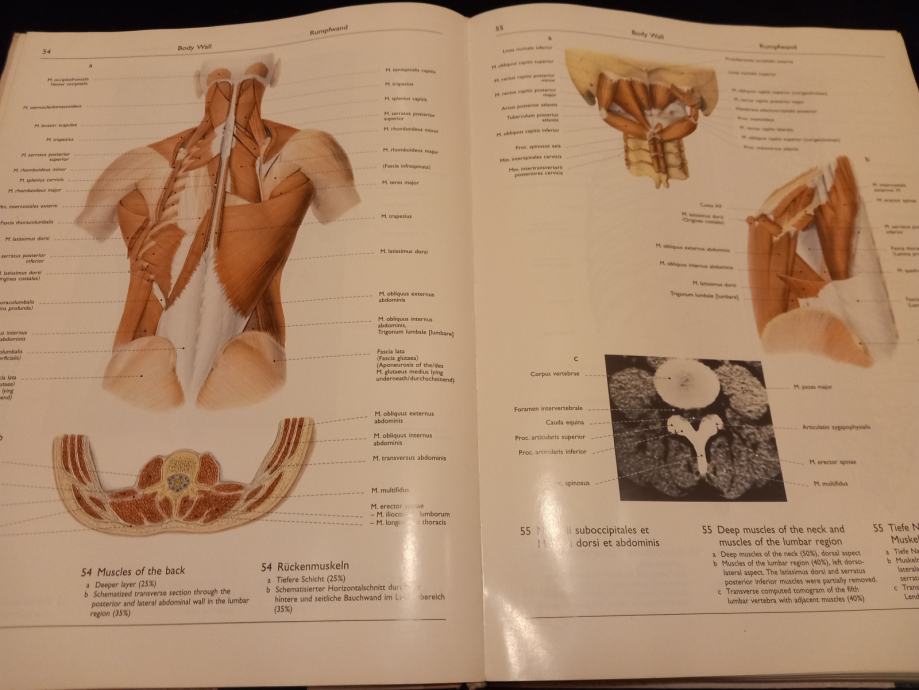 Anatomski atlas v dveh knjigah