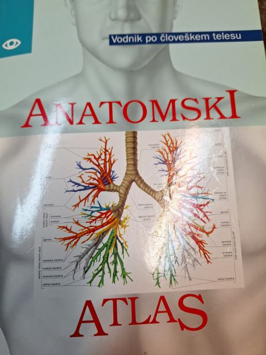 ANATOMSKI ATLAS , VODNIK PO ČLOVEŠKEM TELESU