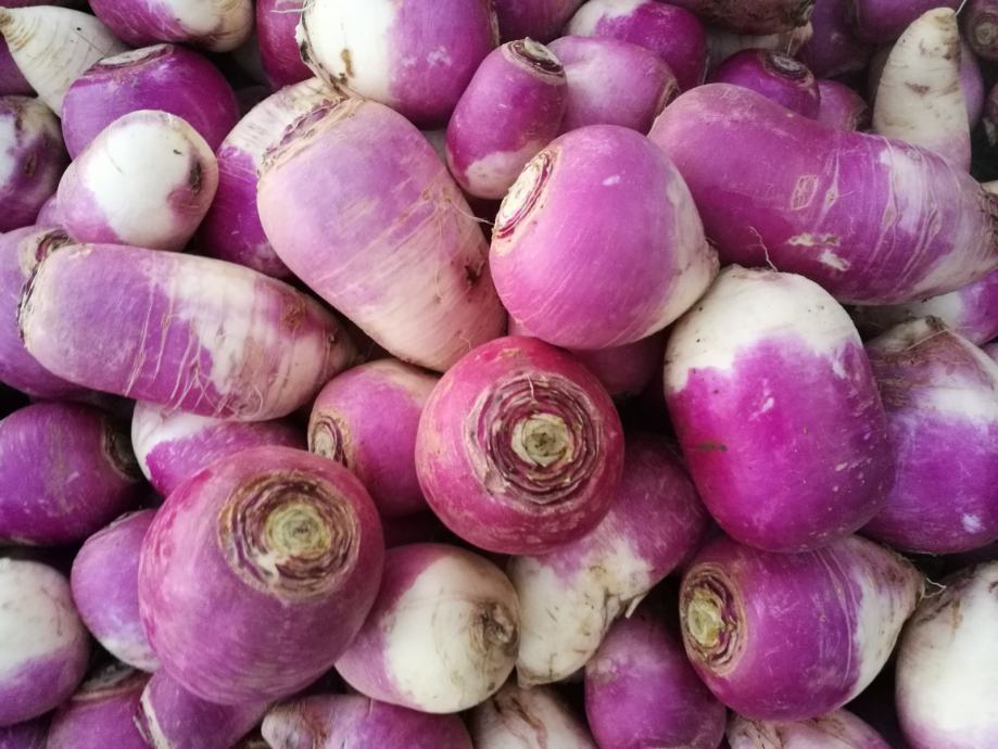 BELA REPA ZA KISANJE