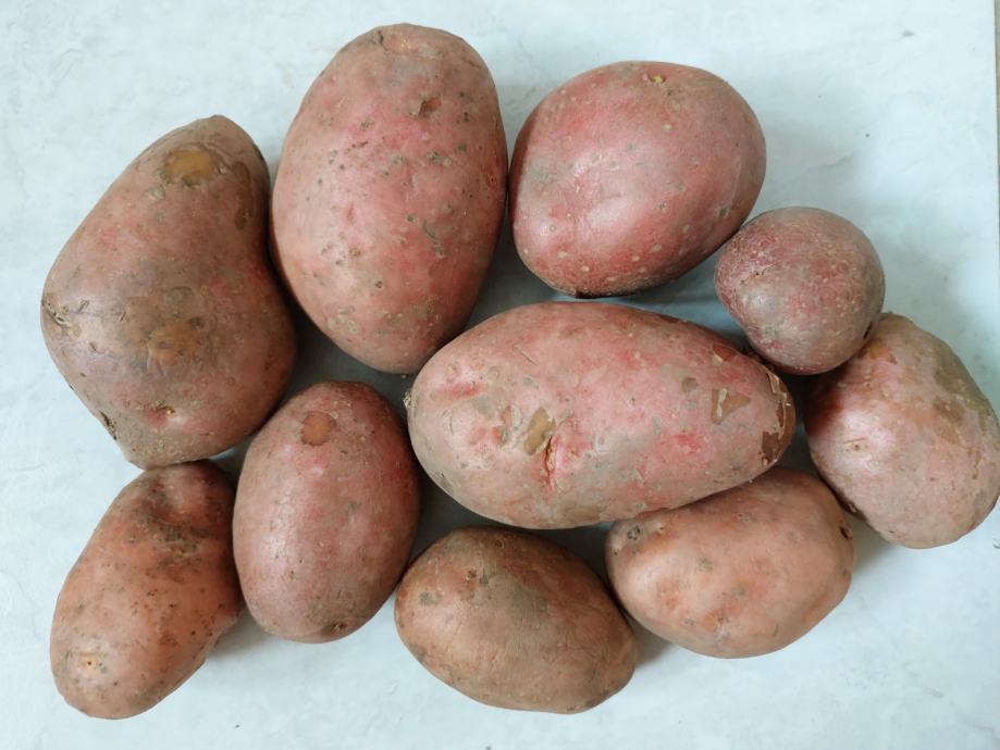 Jedilni krompir, rdeči krompir, domači krompir