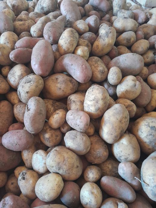 Krompir marabel desire