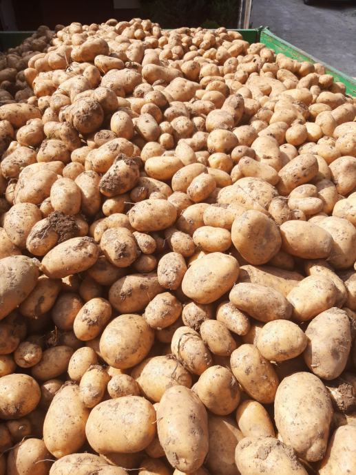 Krompir marabel in desire