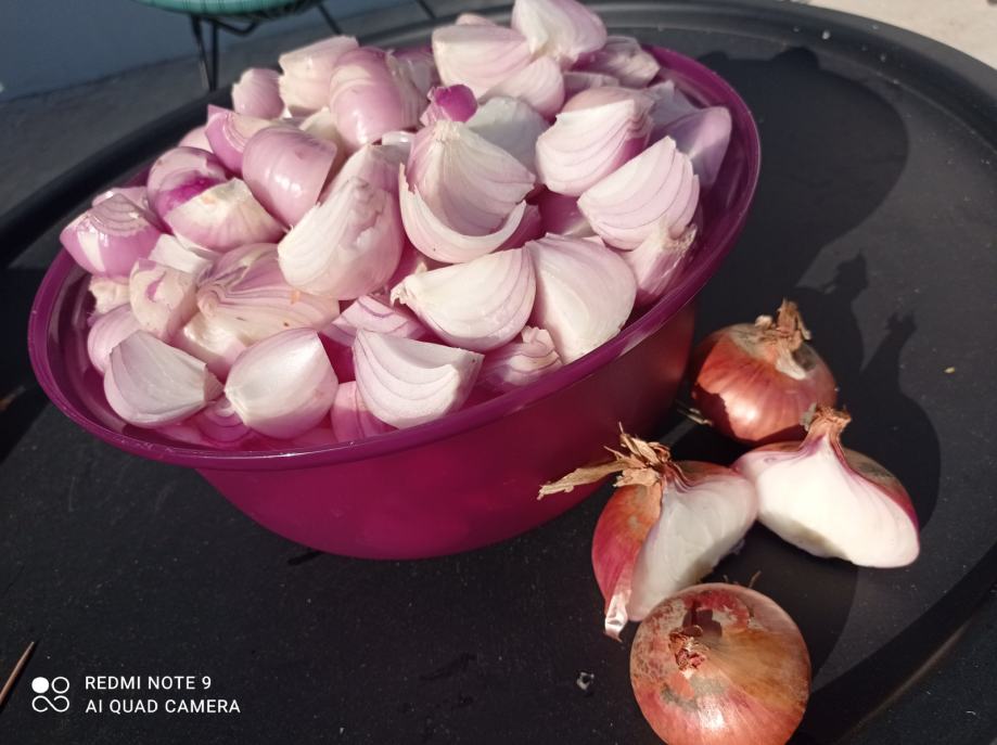 Ptujska rdeča čebula - lük