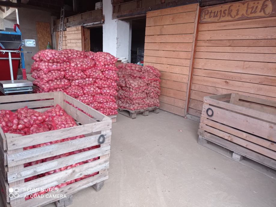 Ptujska rdeča čebula - lük