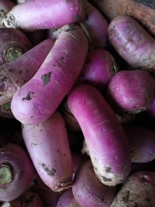 repa za kisanje (eko)