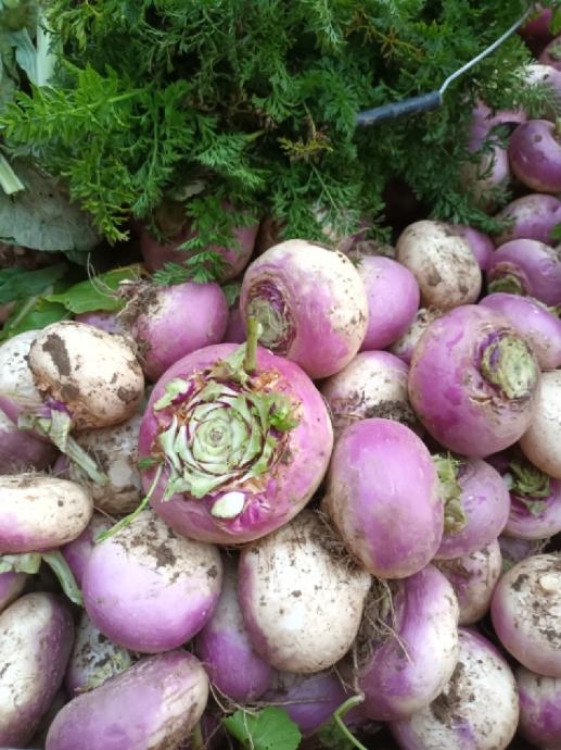 repa za kisanje (eko)