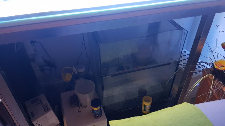 MORSKI AKVARIJ 360 L