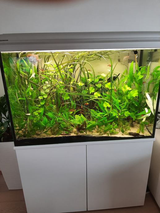 Prodam akvarij 400l