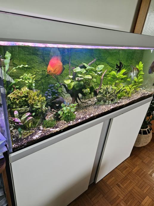Akvarij 370L