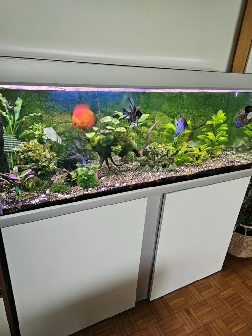 Akvarij 370L