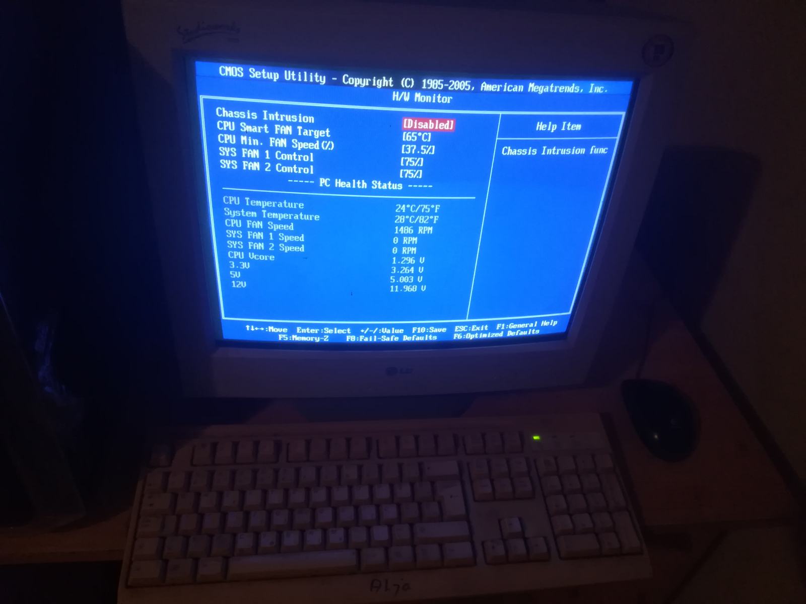 CRT monitor LG 17 col