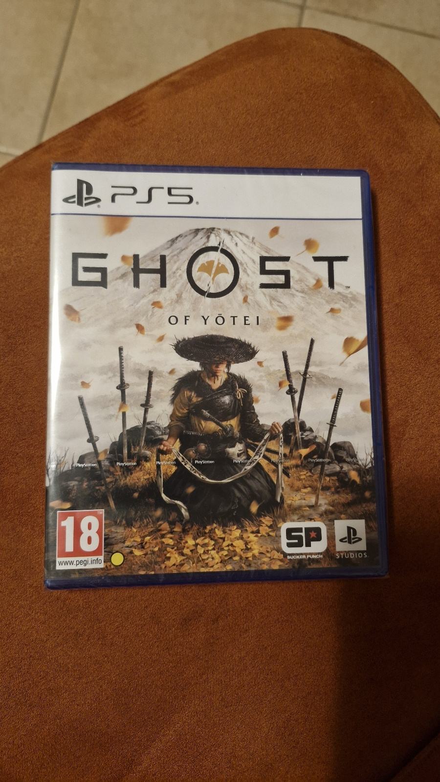 Ghost of Yotei pS5