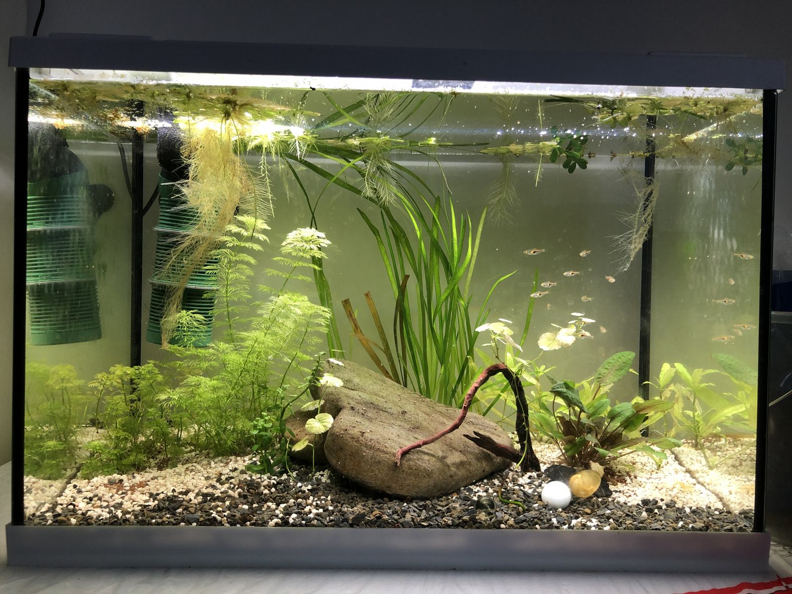 Akvarij 80L