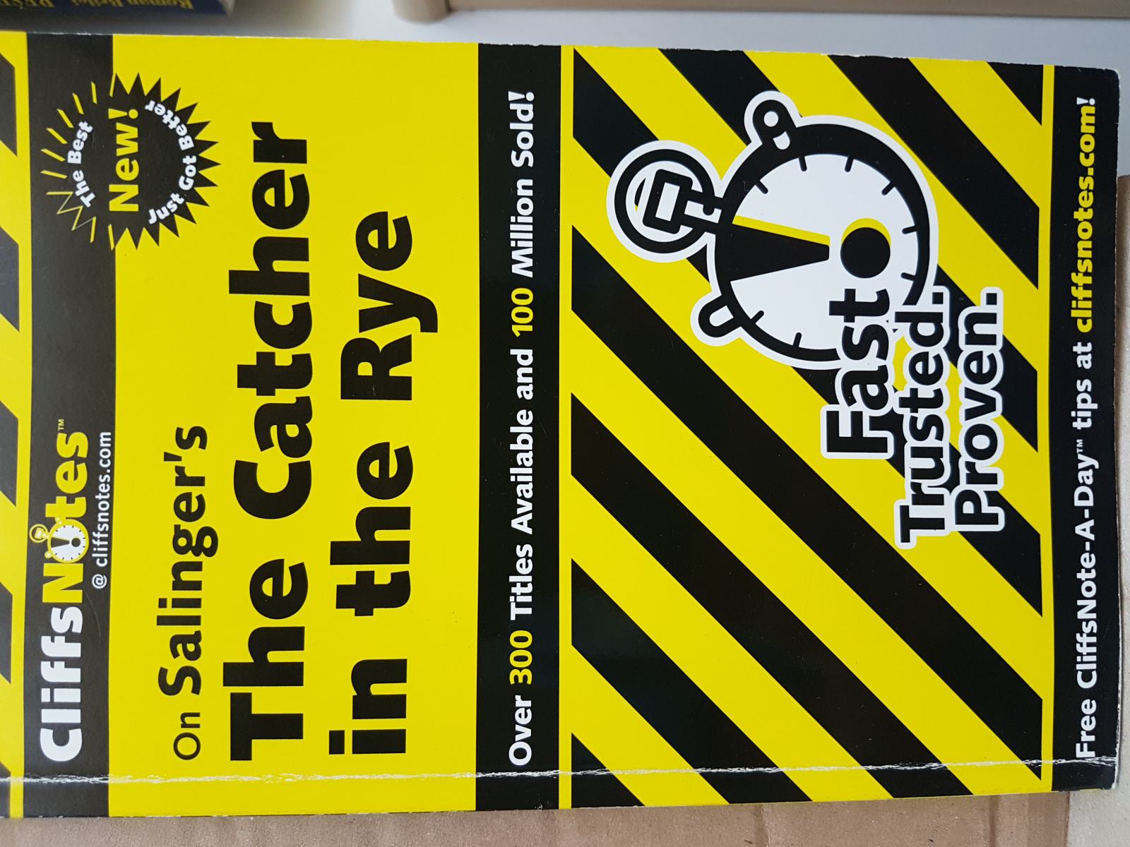 The Catcher in the Rye, CliffsNotes