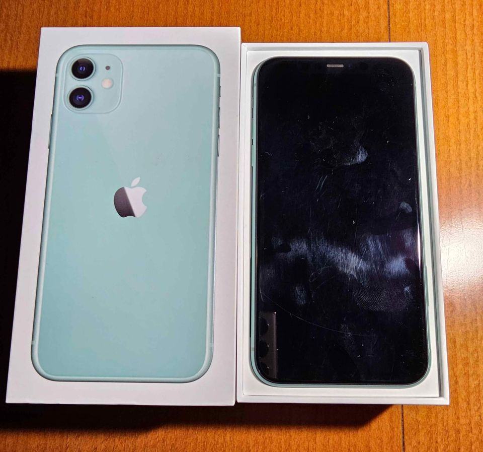 Iphone 11 (mint green)