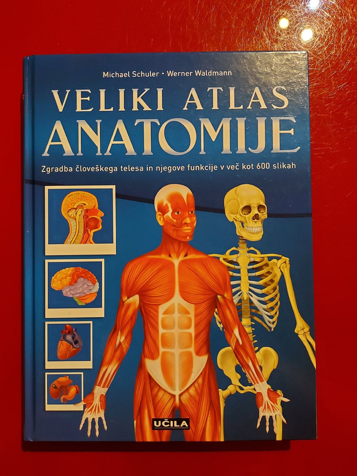 Veliki atlas anatomije