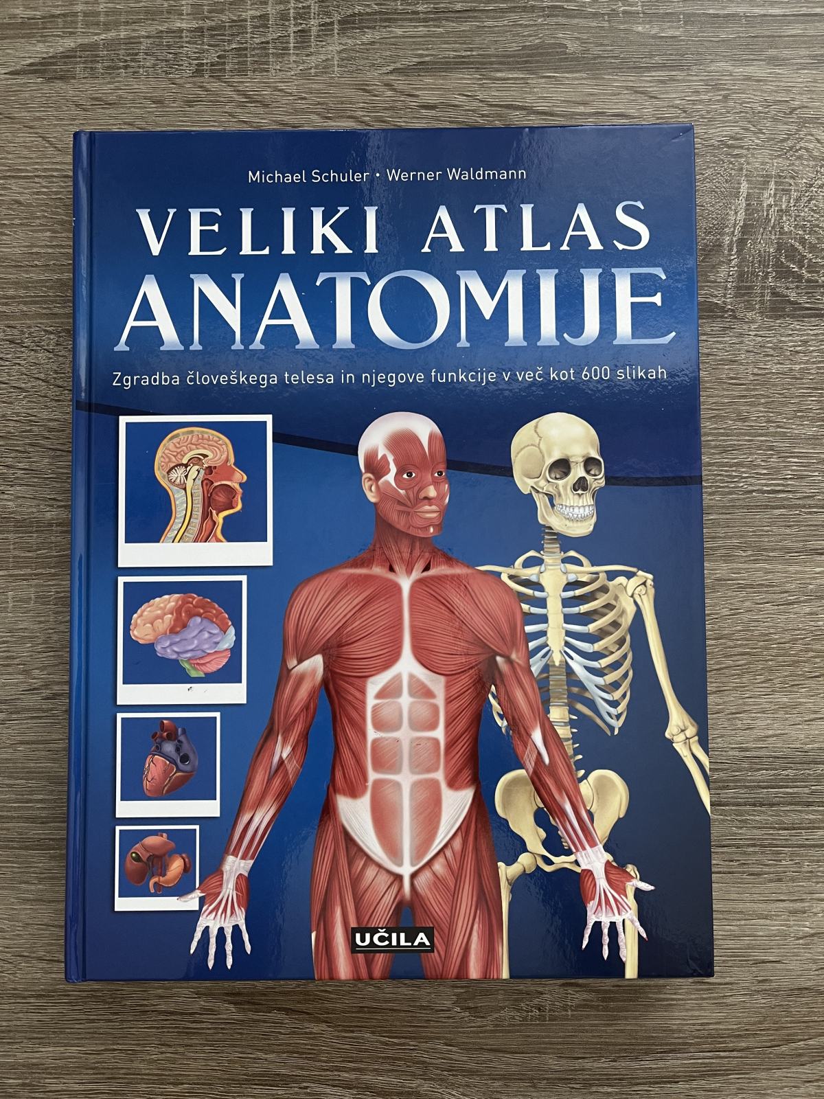 Veliki atlas anatomije