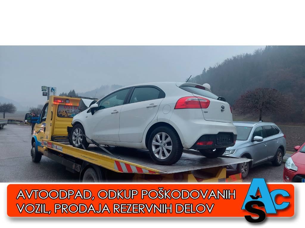 Kia Rio 1.2 benc. CVVT 63 kW 85 KM EX Fun, L. 2013, KM 11111, 2013 l.