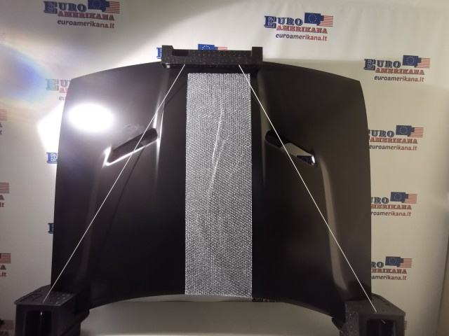 2015-2023 Dodge Challenger Hood Assembly (68259670AA)