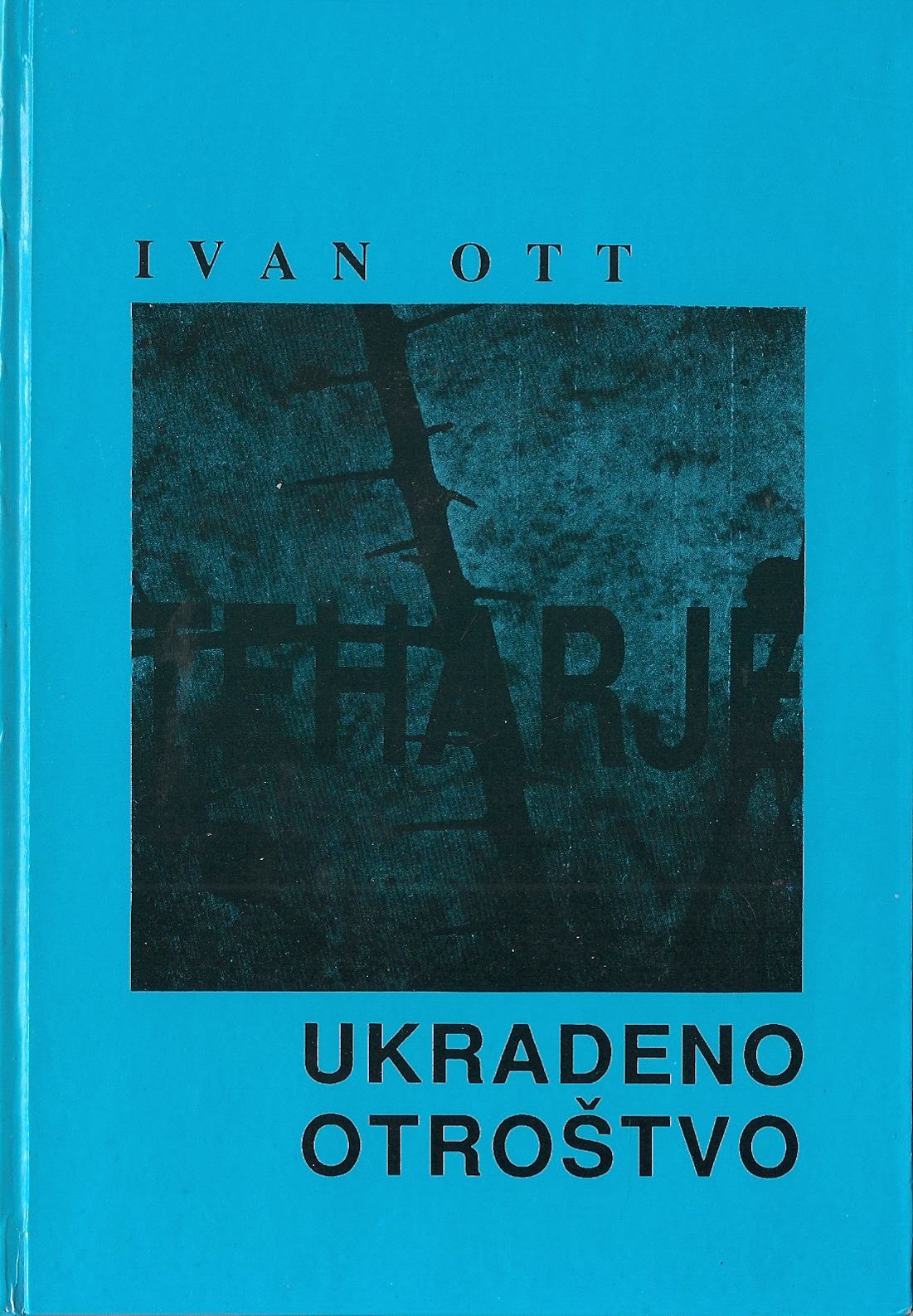 Ukradeno otroštvo / Ivan Ott
