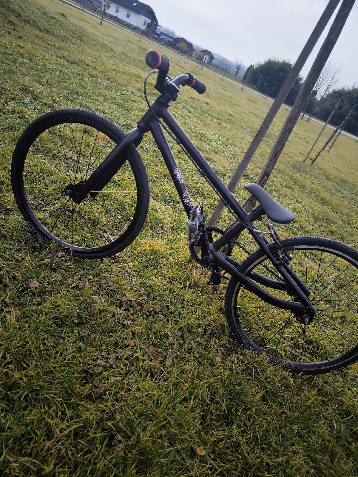 BMX mini