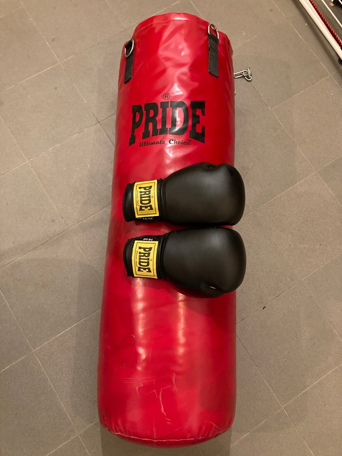 Boksarska vreča in rokavice Pride