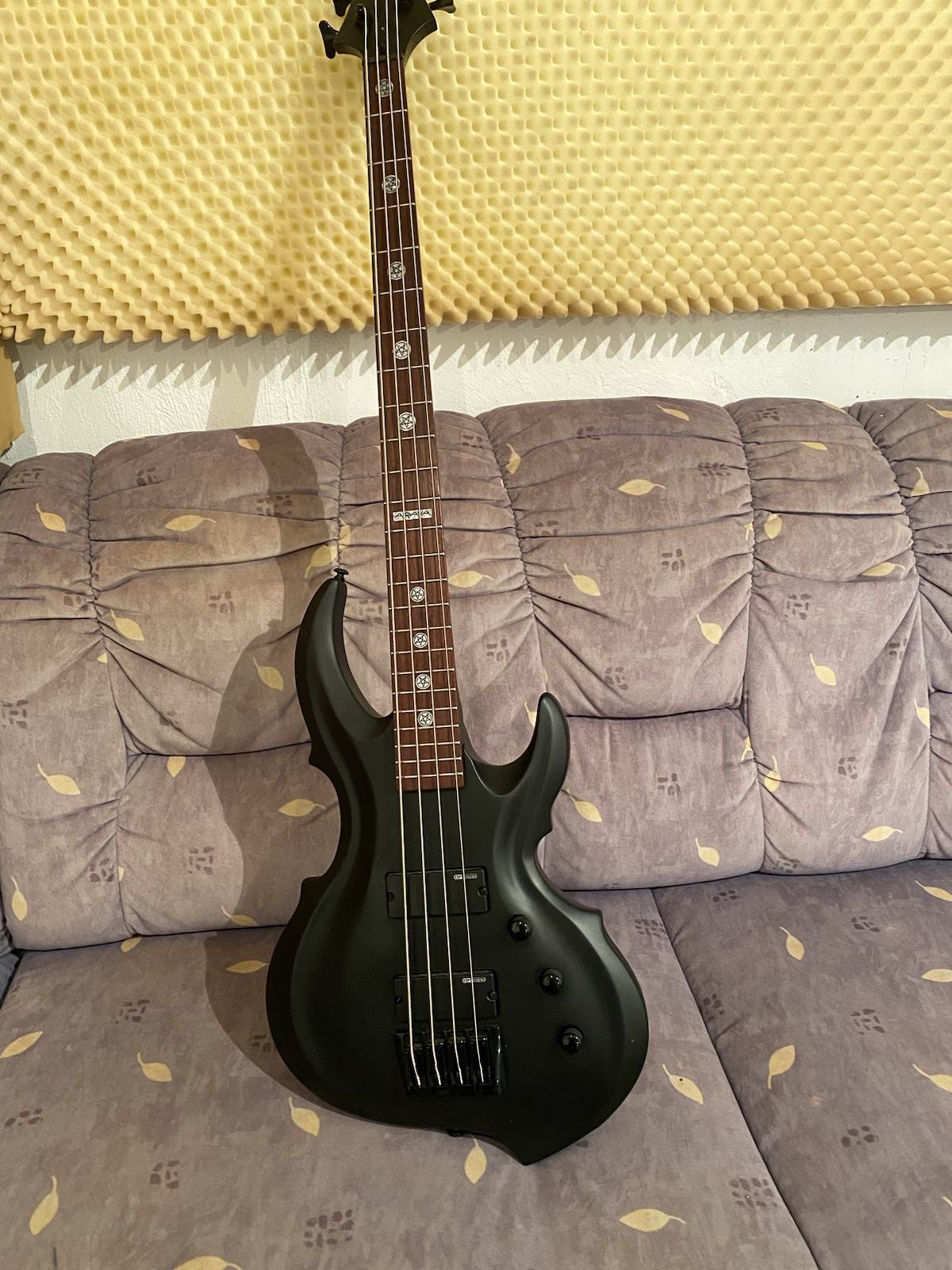 Bas kitara ESP LTD TA204 FRX