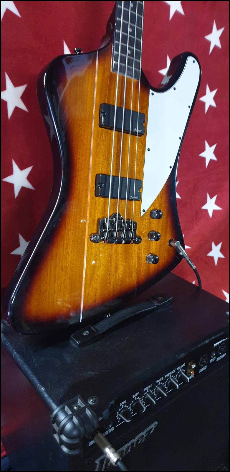 Bas kitara, ojačevalec in oprema