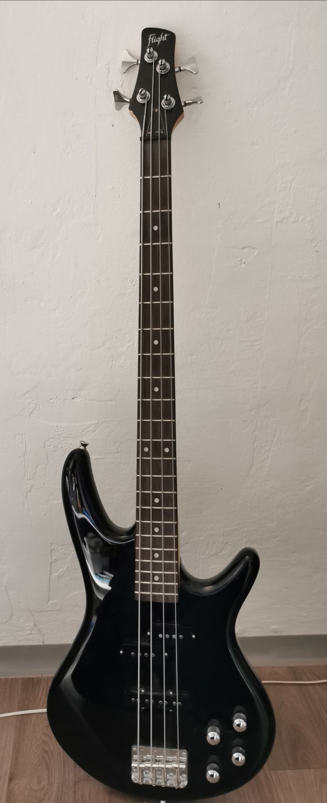 Bass kitara Flight in ojačevalec Ebs SESSION 30