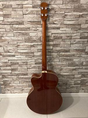 Elektro Akustična Bas Kitara AB-10