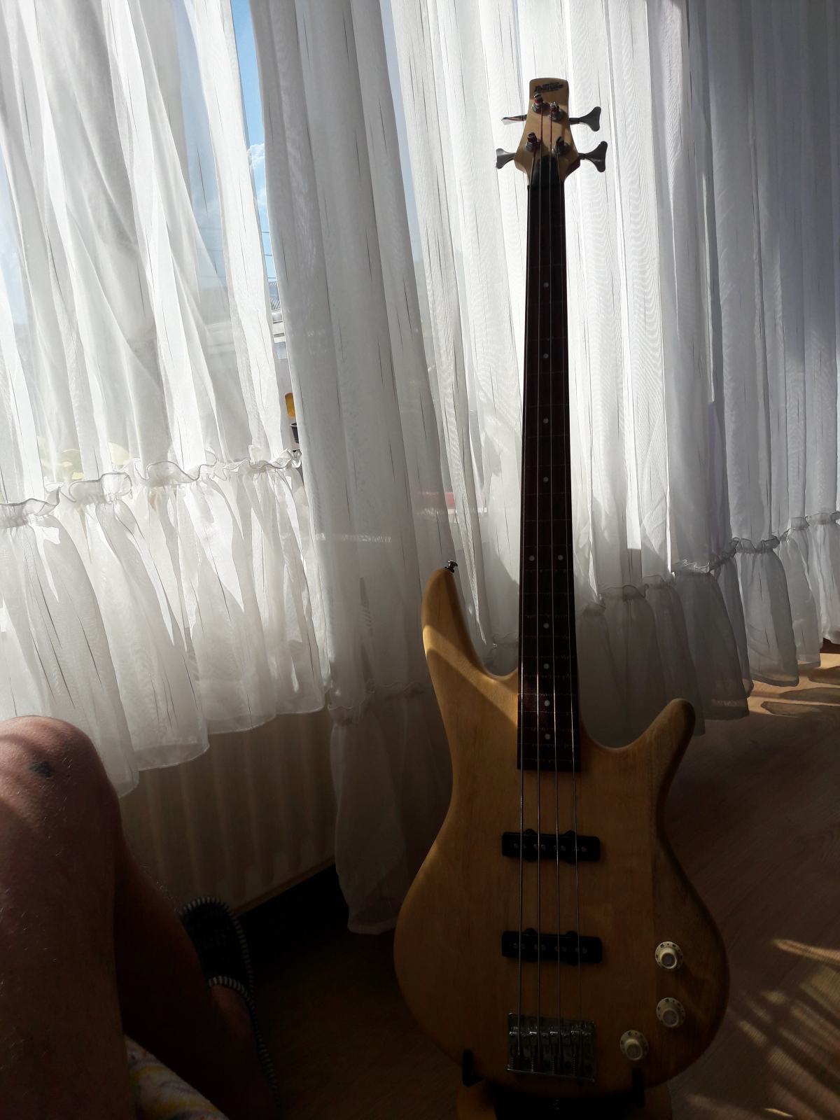 Ibanez bas kitara (predelana v fretless)