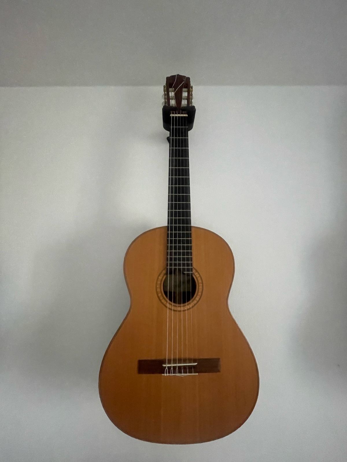 Klasična kitara Hanika 50PC
