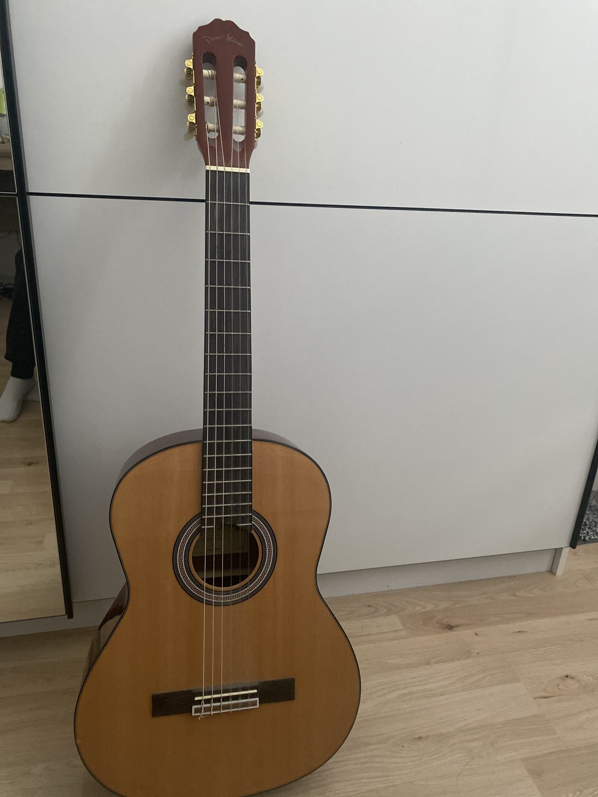 Prodaja klasicne kitare