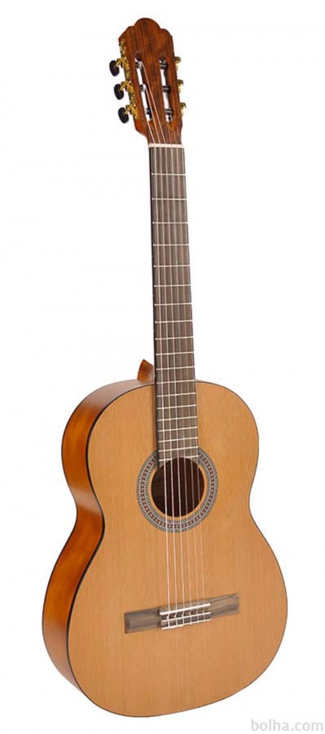 SALVADOR CS-244 Klasična kitara klasične kitare celinka