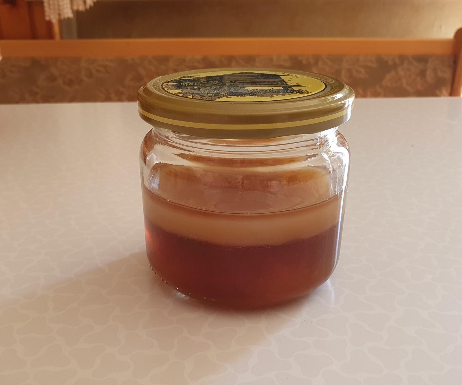 Kombuča goba (SCOBY)