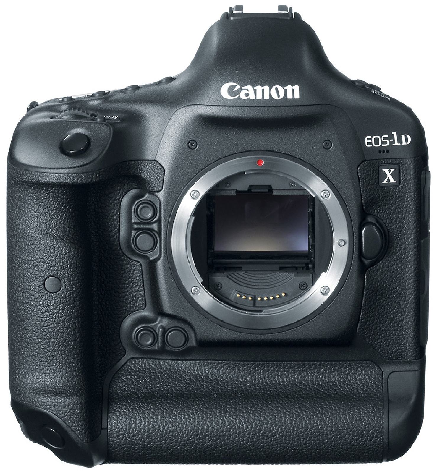 Canon 1DX in Canon 35-350mm f/3.5-5.6L USM