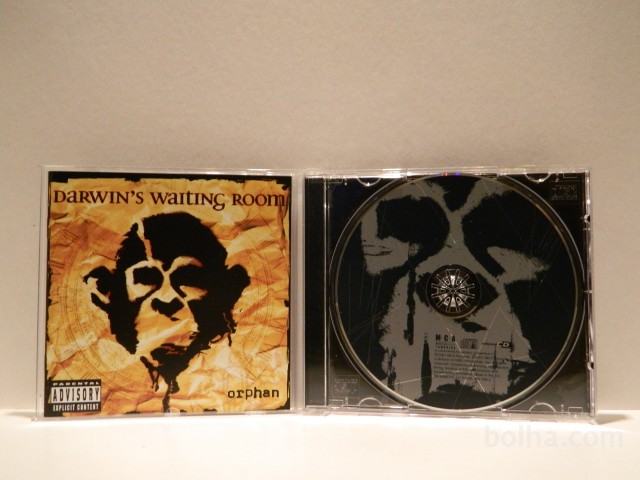 Darwins Waiting Room - Orphan