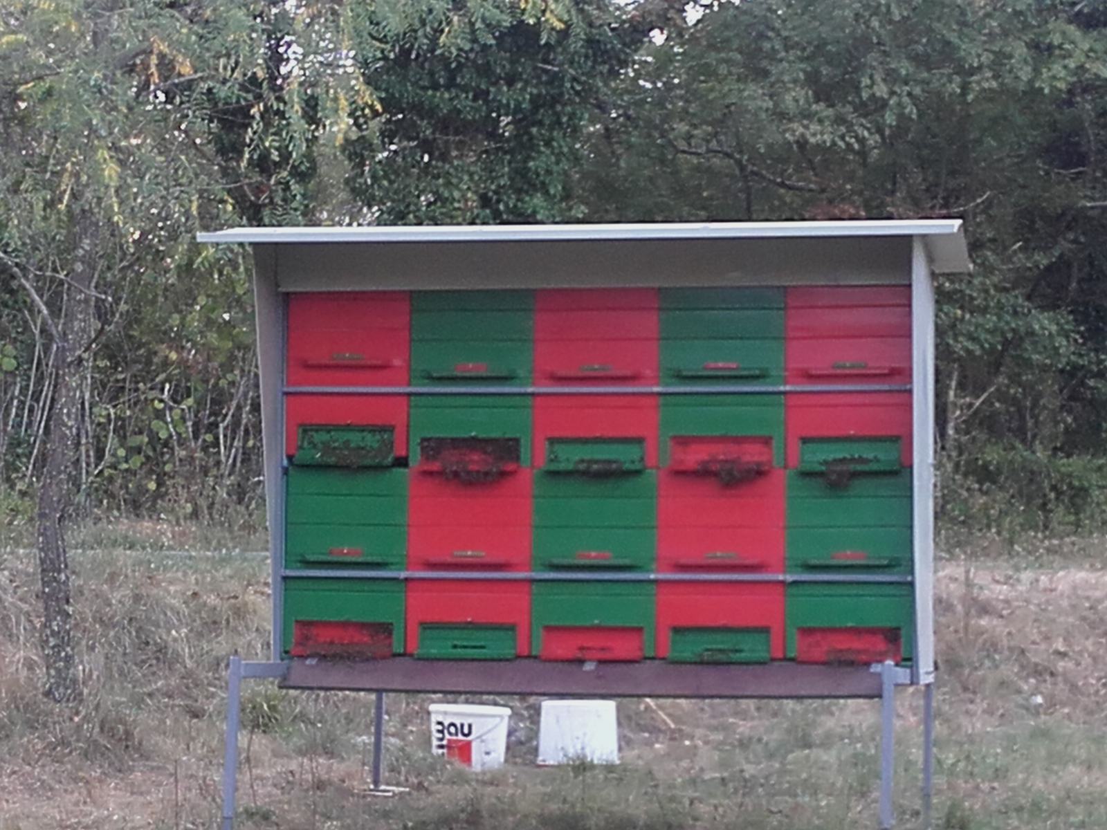 Čebele