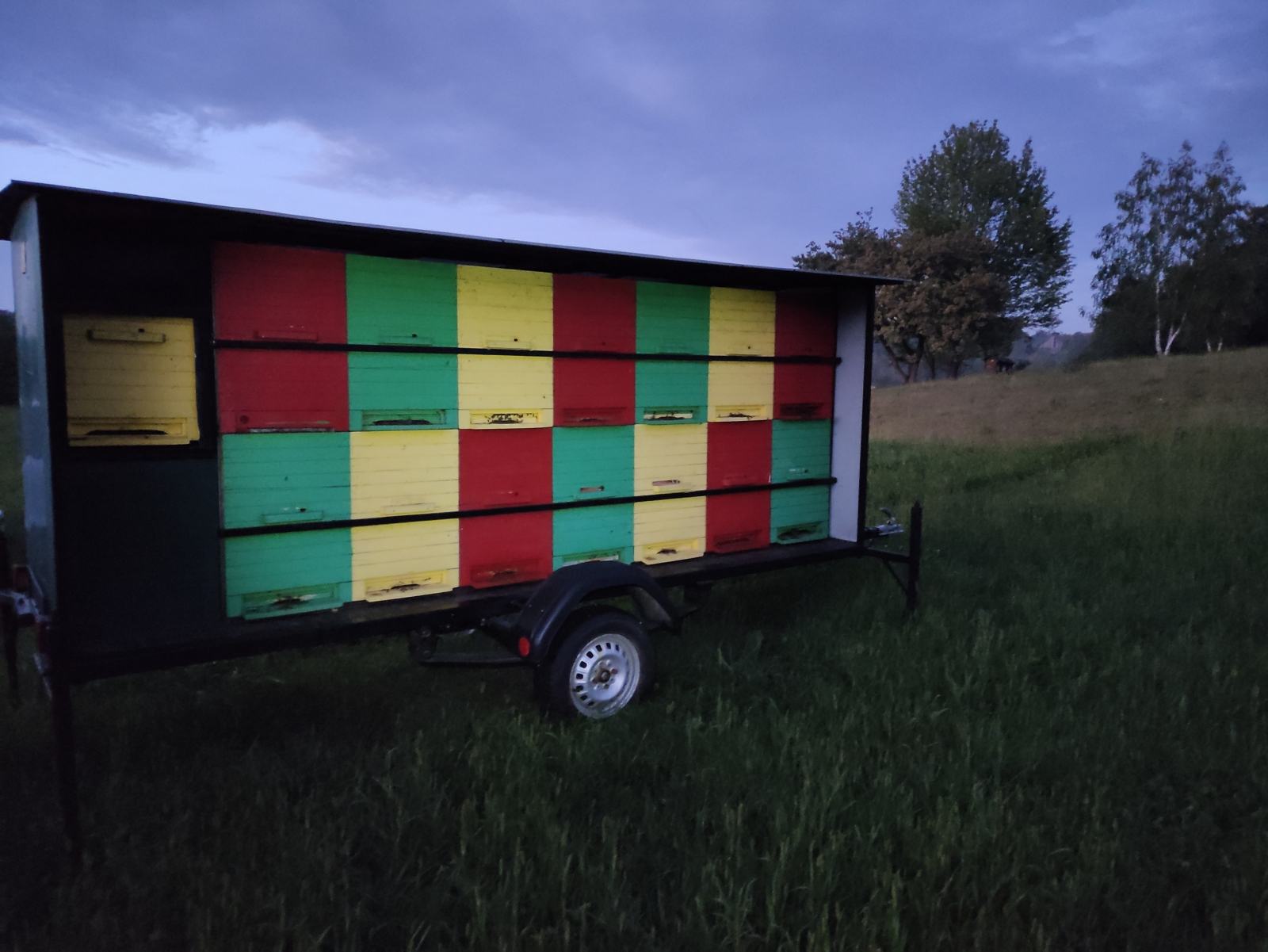 Prodam panje s čebelami