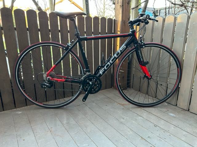 Cestno Fitnes kolo Focus