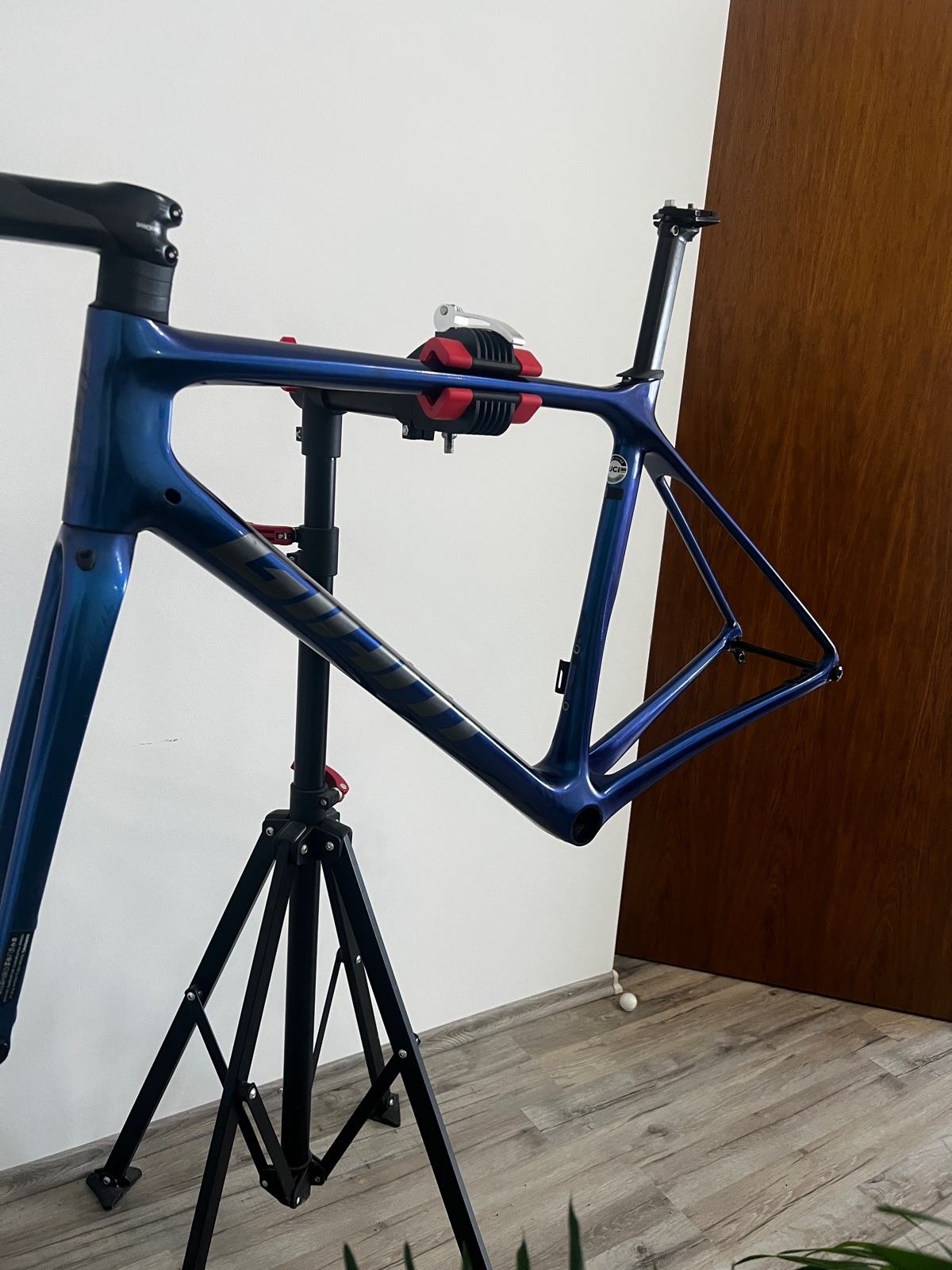 Giant TCR Pro Disc Advanced 0 Frameset M