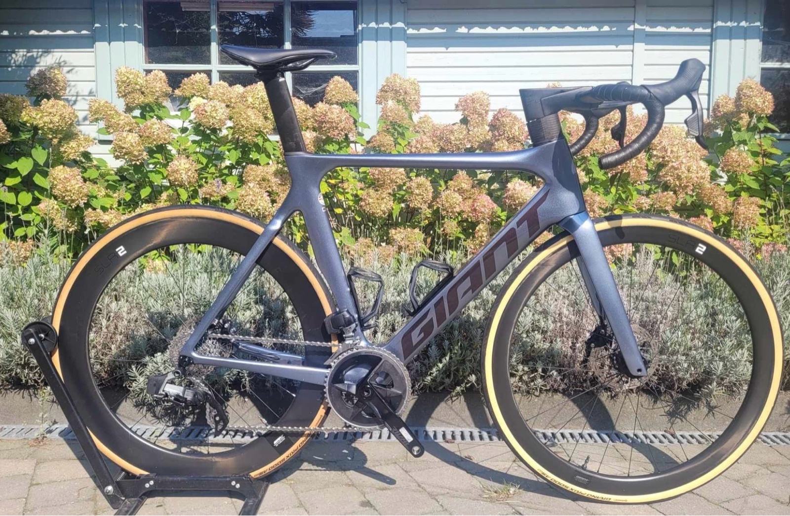 Propel, Advanced Disc 1 2023