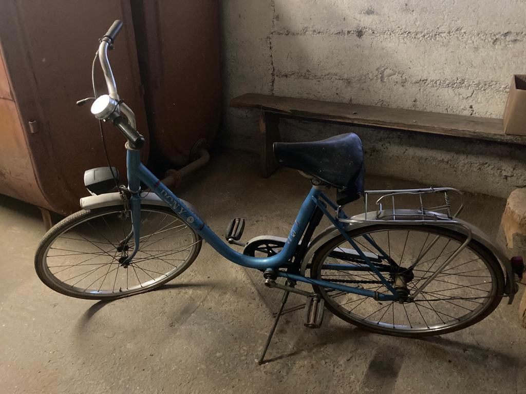 Žensko kolo PONI- starejše