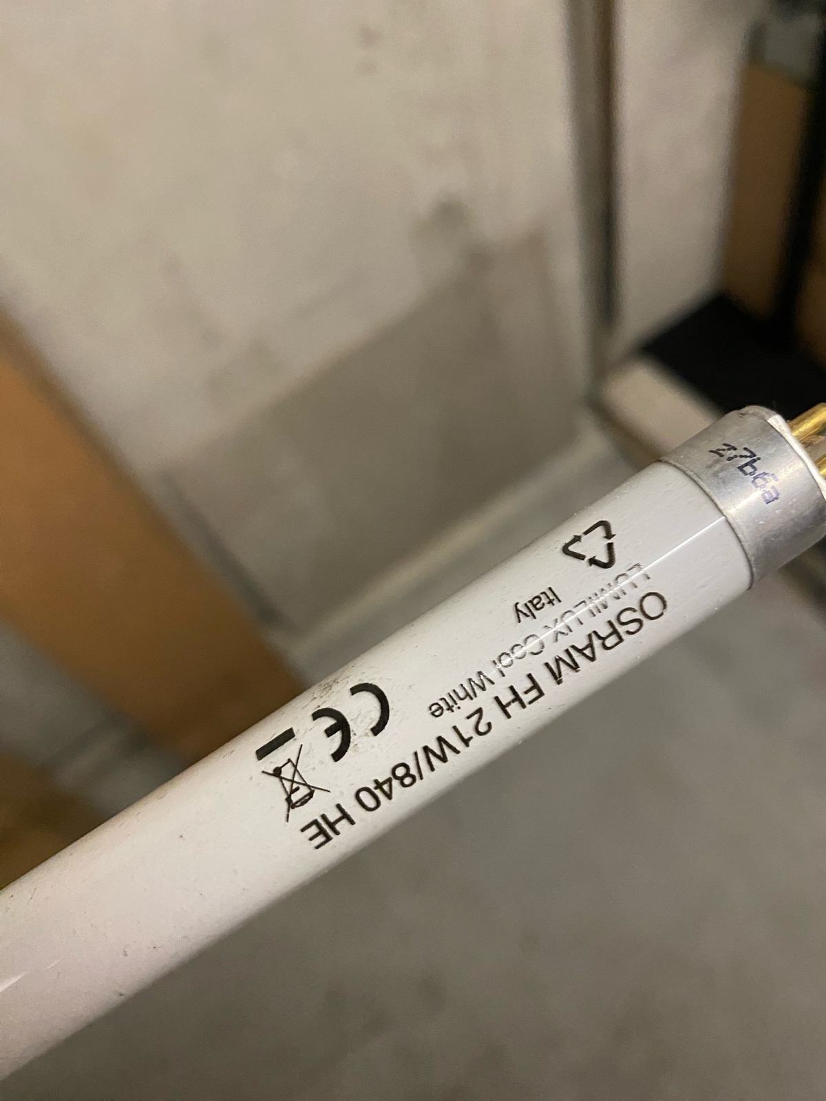 Sijalke fluo dolzina 85
