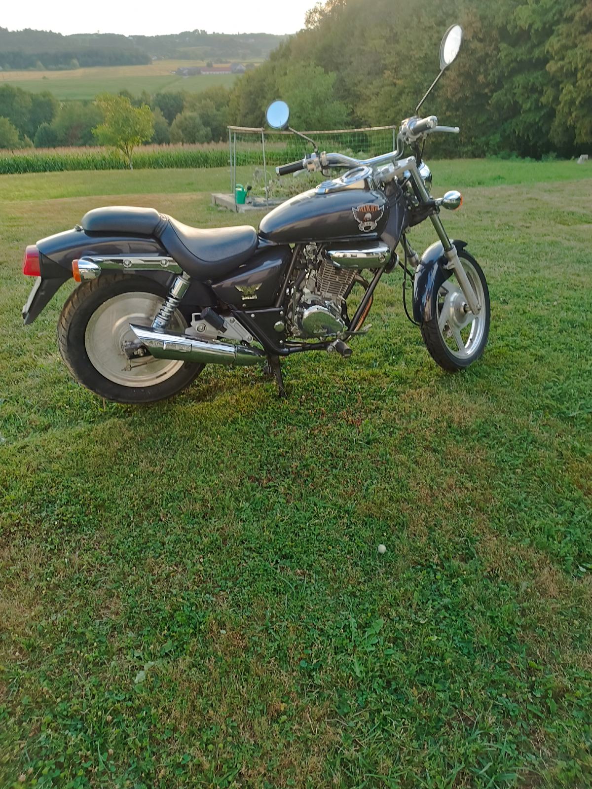 Daelim Vt 125 Hchstgeschwindigkeit